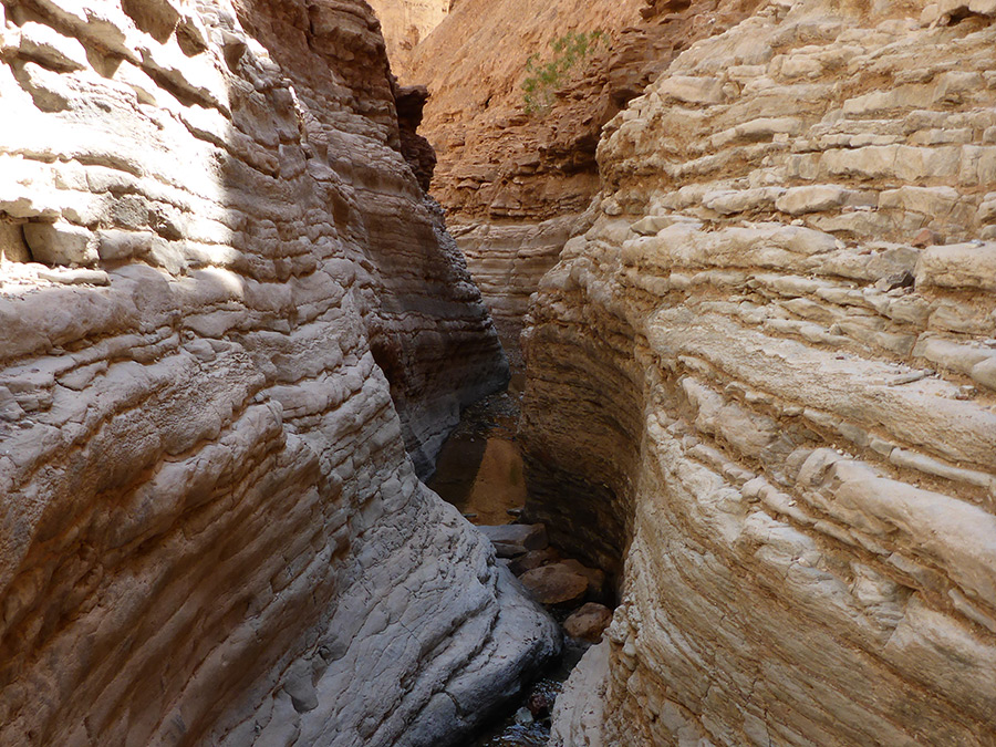 Wittwer Canyon, Santa Clara River Reserve, Utah