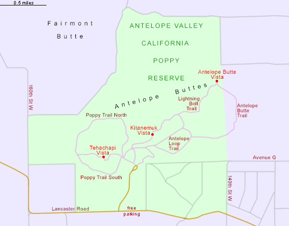 Antelope Valley California Poppy Reserve, California Antelope Valley California Poppy Reserve, California