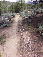 Chinle Trail, Zion National Park, Utah