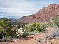 Chinle Trail, Zion National Park, Utah