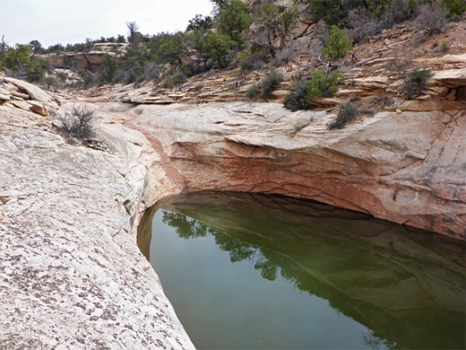 Tuwa Canyon, Natural Bridges National Monument, Utah